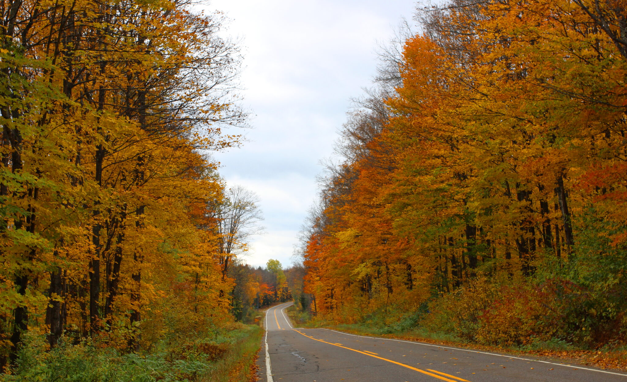 Wisconsin North Woods Fall Colors (2019) – WHAT A WONDERFUL WORLD